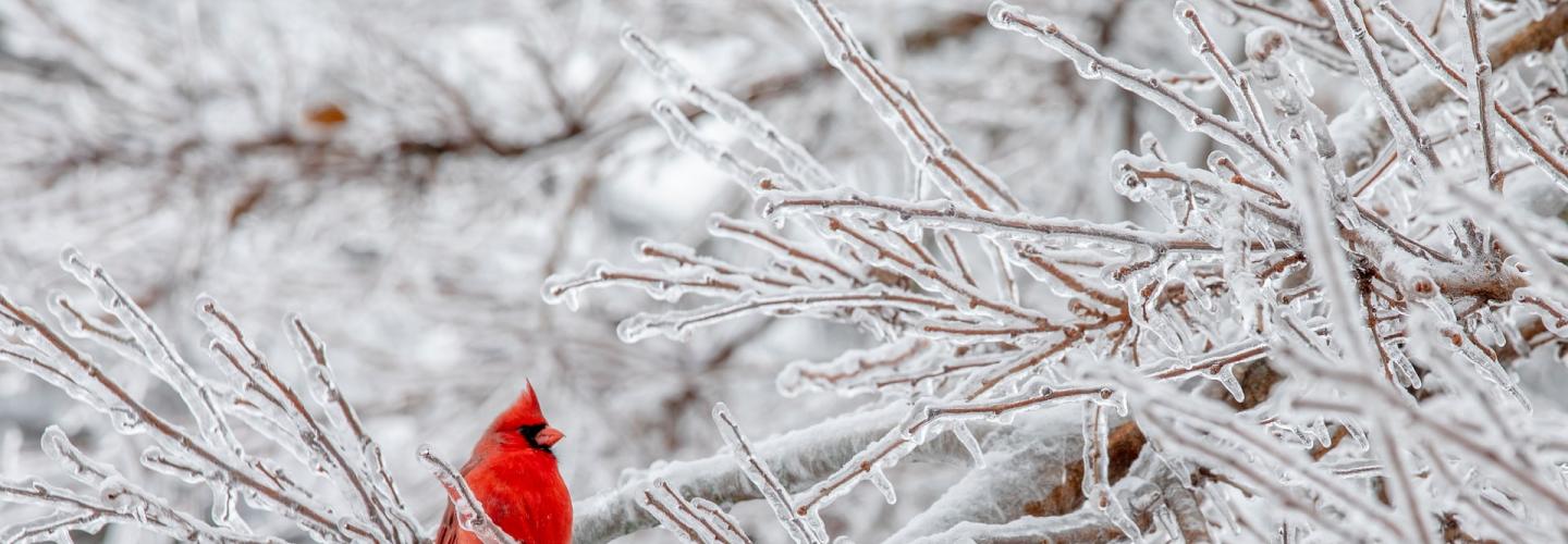 CFP Board’s 7 Steps to Financial Planning | Private Financial Design