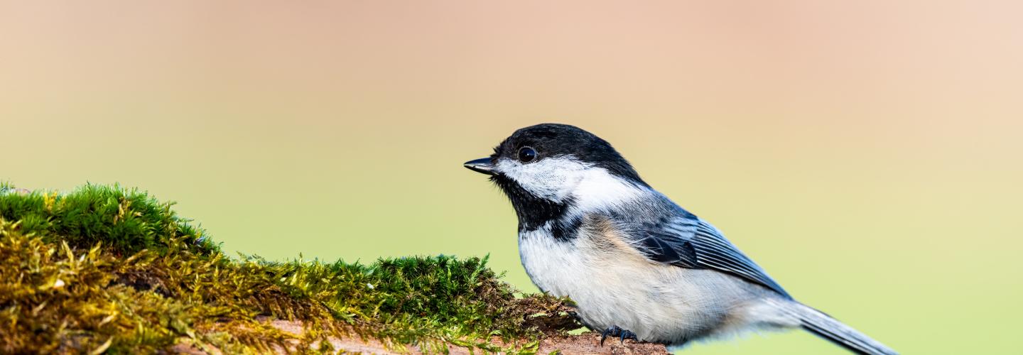 CFP Board’s 7 Steps to Financial Planning | Private Financial Design