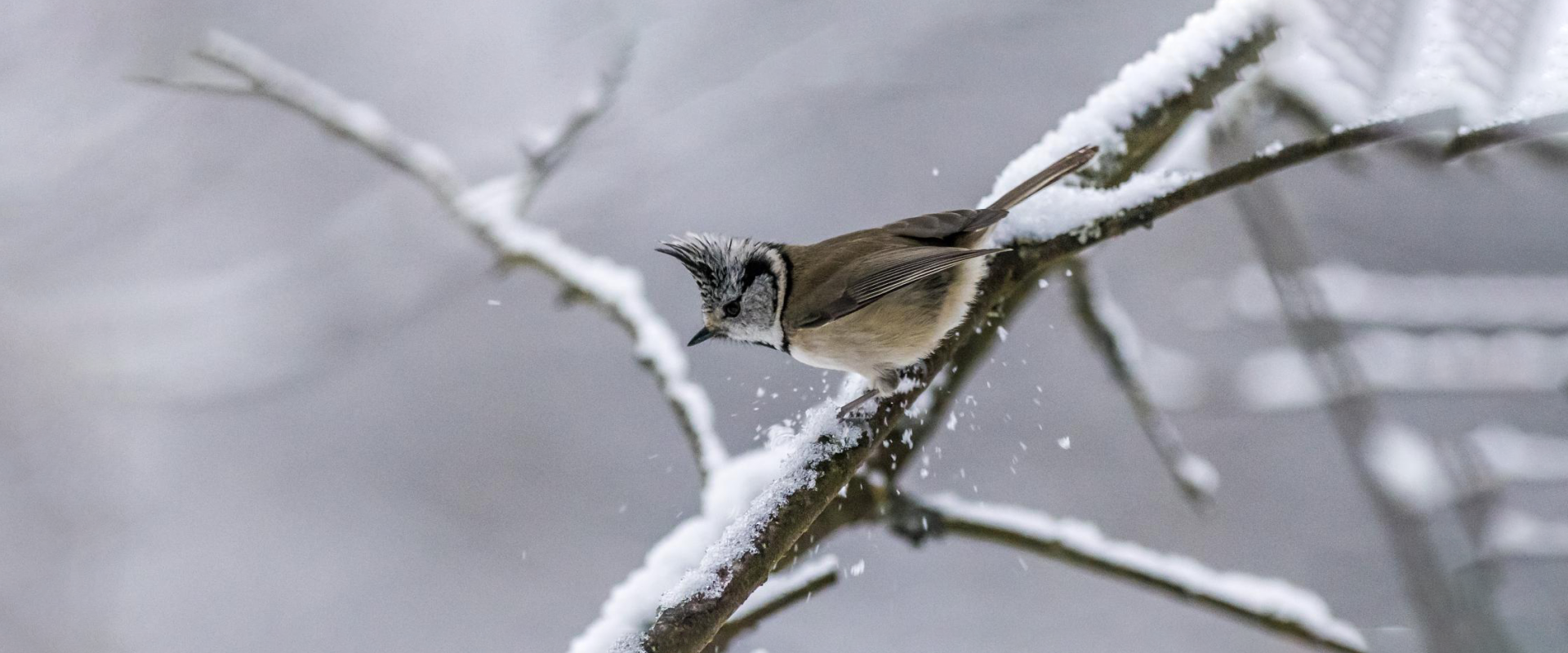 CFP Board’s 7 Steps to Financial Planning | Private Financial Design